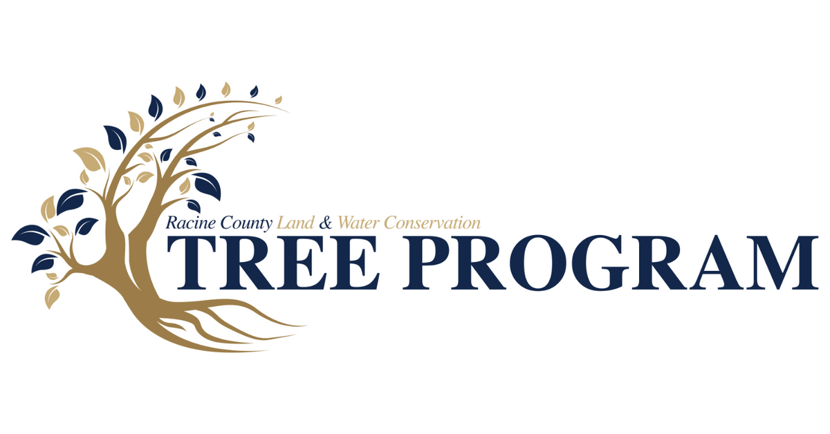 FAQs – Racine County Tree Program